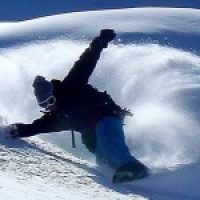 Mike Hoppe, Author at Freebord